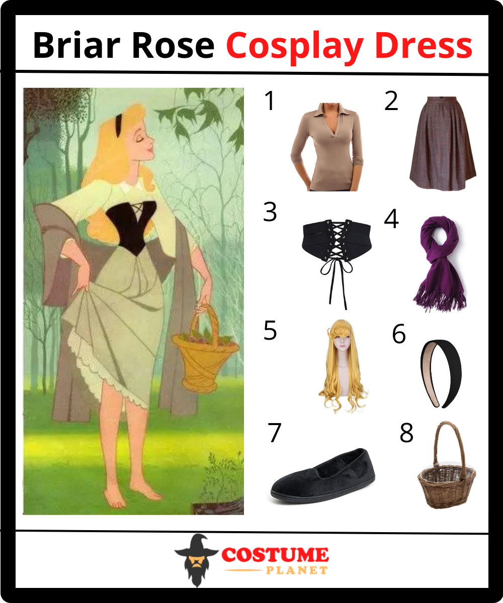 Briar Rose Cosplay Dress: The Stunning Look